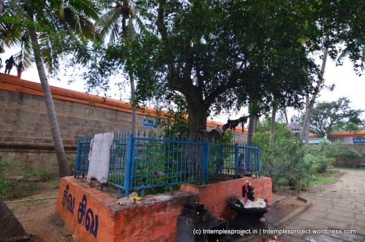 Paraithurainathar, Tiruparaithurai, Tiruchirappalli – TN Temples Project