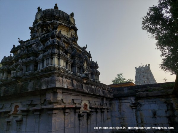 Balasubramanian, Uthiramerur, Kanchipuram – TN Temples Project