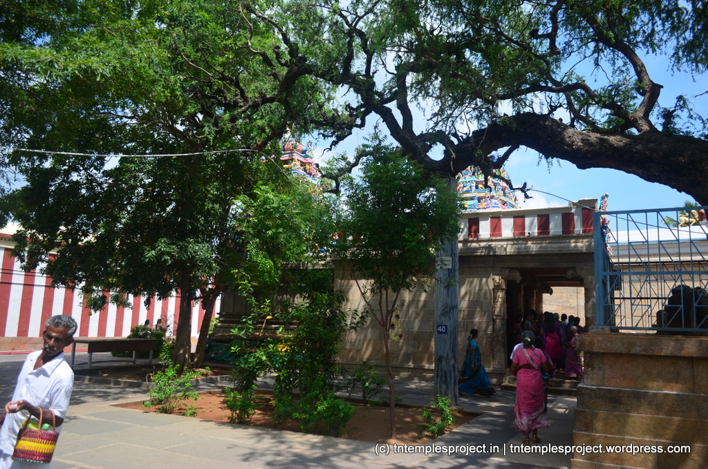 Magudeswarar, Kodumudi, Erode – TN Temples Project